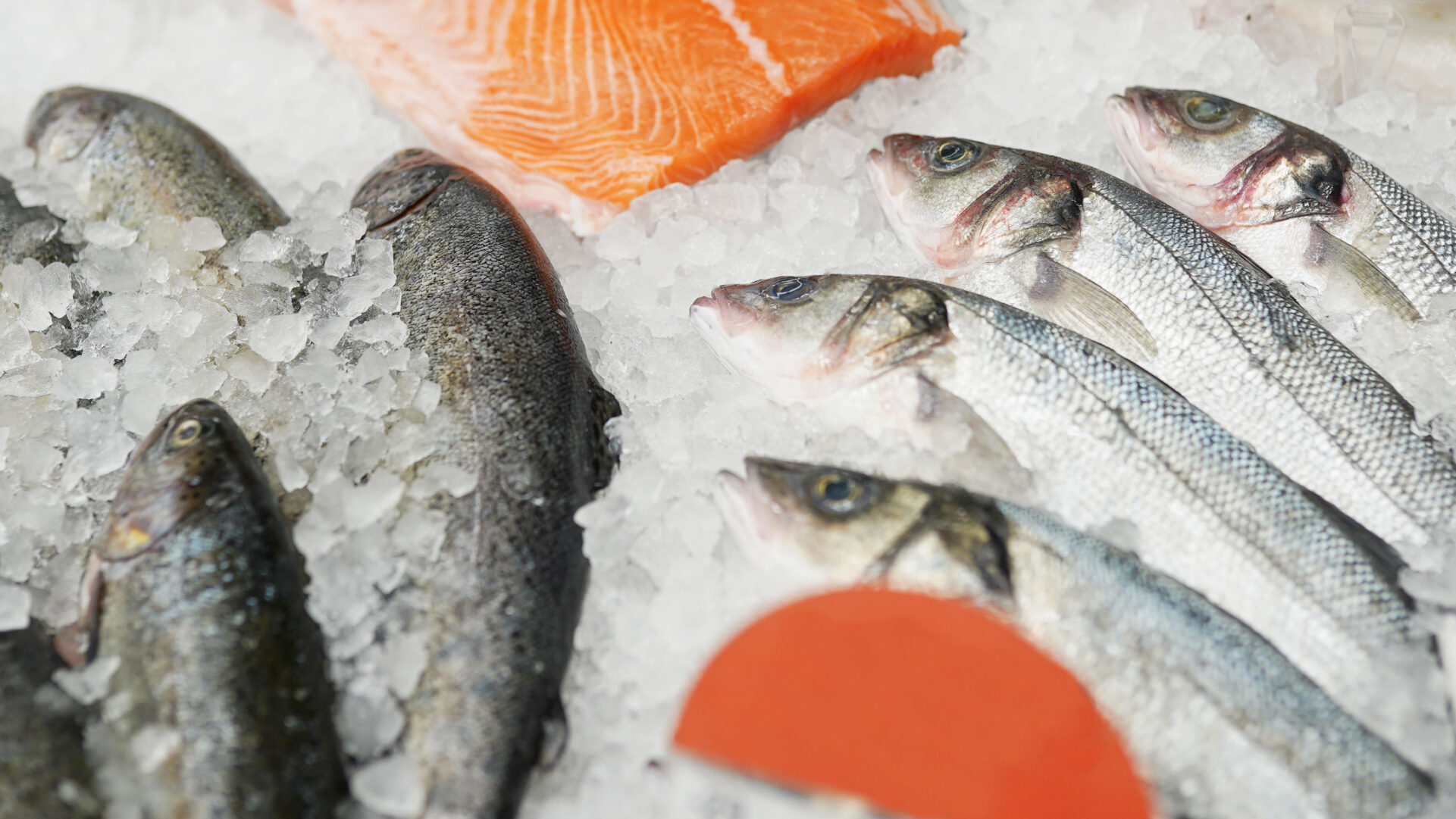 Forty jobs saved as Thistle Seafoods acquires 100,000sq ft Dawnfresh ...
